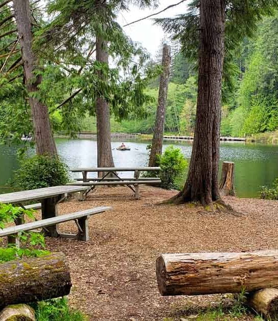enchanting washington state park ftr
