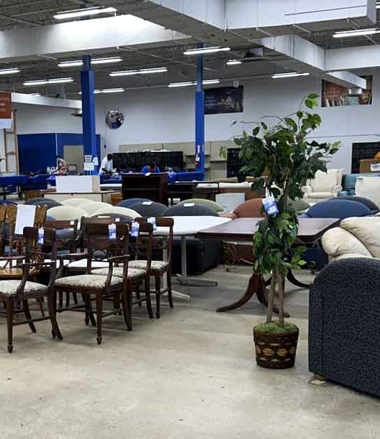 enormous missouri thrift paradise ftr