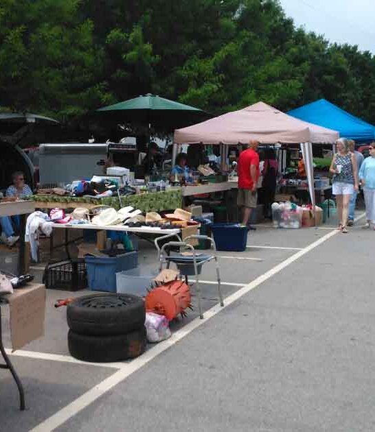 enormous south carolina flea ftr