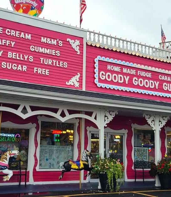 enormous wisconsin candy shop ftr