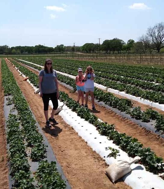 epic fruit farms texas ftr