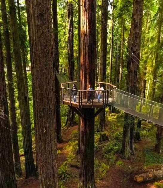 epic sky walk california ftr