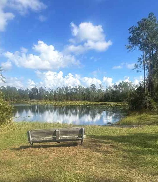 escape florida underrated park ftr