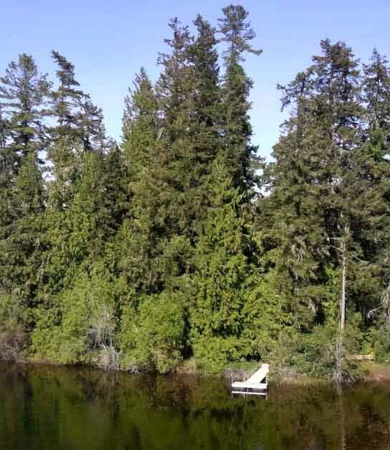escape private island washington ftr