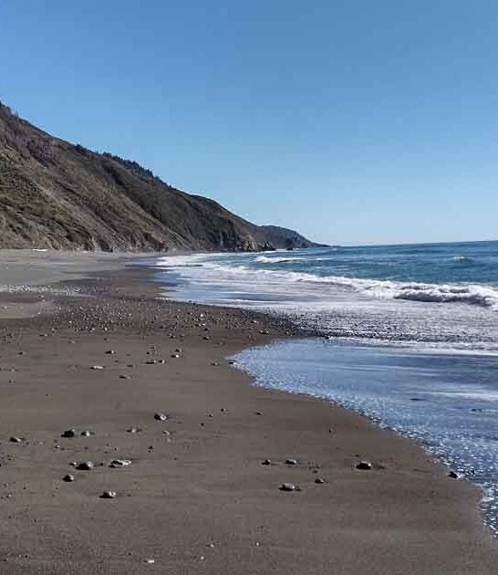 escape remote park california ftr