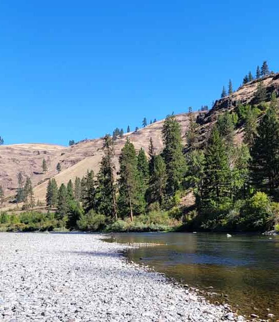 escape remote park oregon ftr