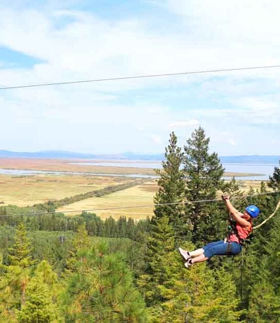 exciting zipline experience oregon ftr