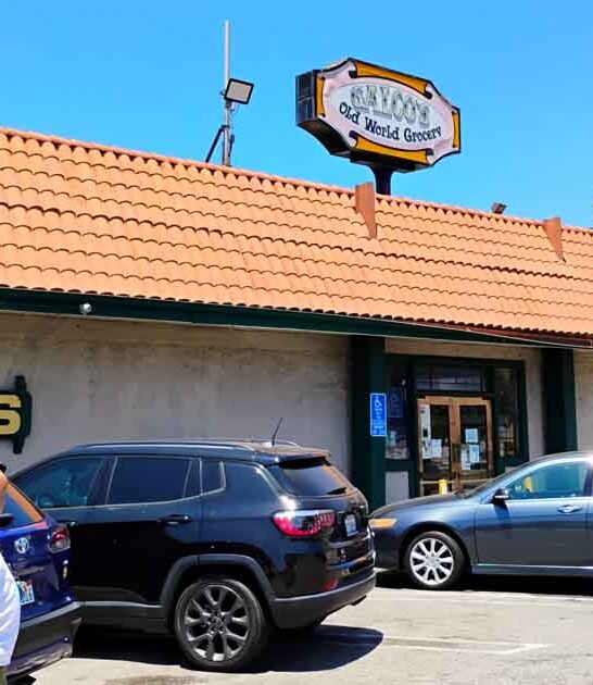 exotic soda shop california ftr