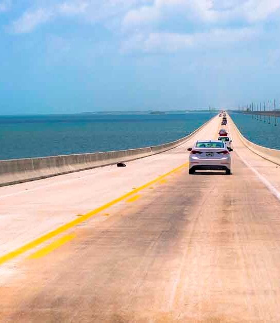 Hop In The Car And Explore These 11 Unforgettable Country Roads In Florida