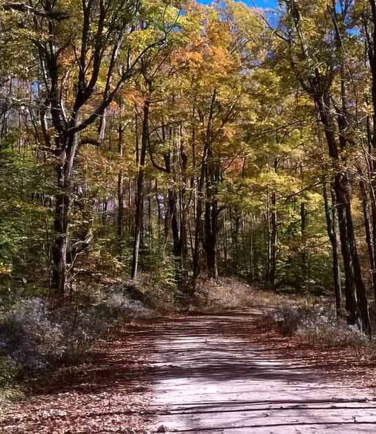explore massachusetts state park ftr