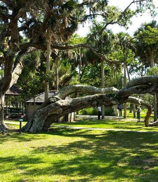 fairy tale florida preserve ftr
