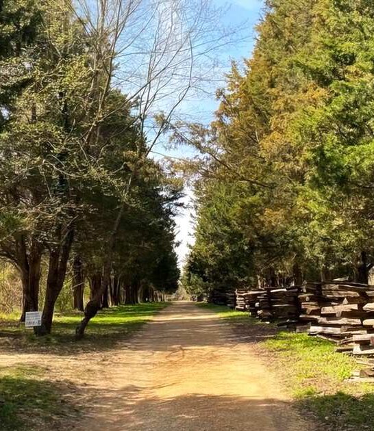 fairy tale maryland trail ftr