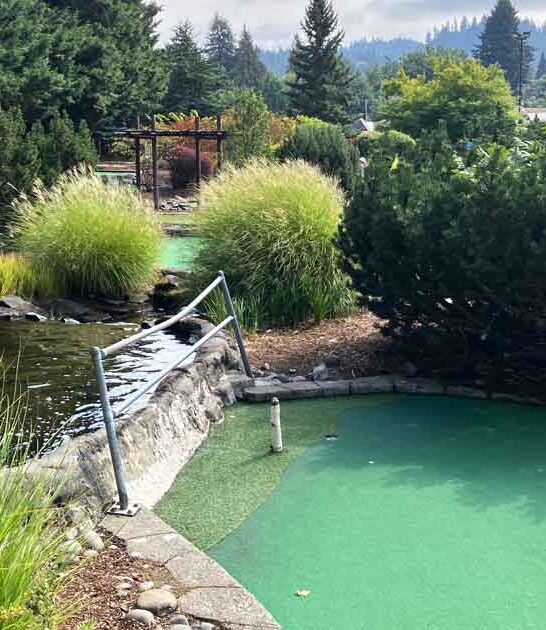 family nature golf oregon ftr