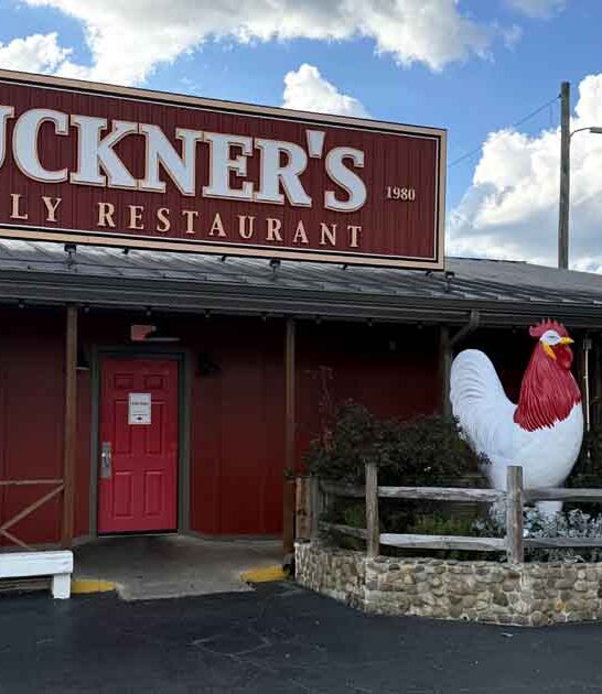 family restaurant georgia southern ftr