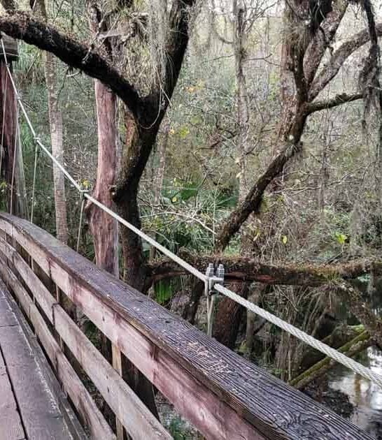 fantasy land florida park ftr