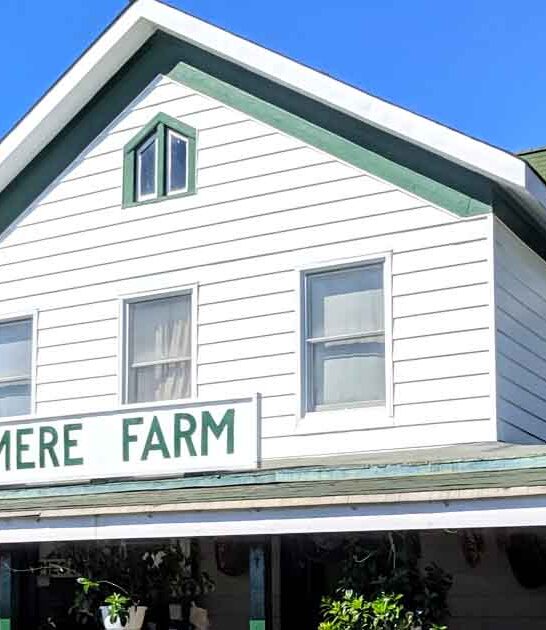 farm new york pies ftr