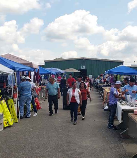 flea shopping south carolina ftr