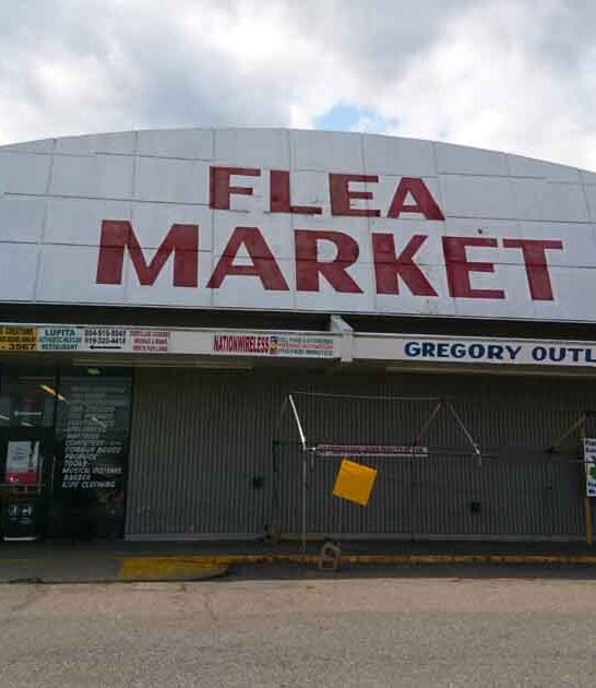 flea virginia big good ftr