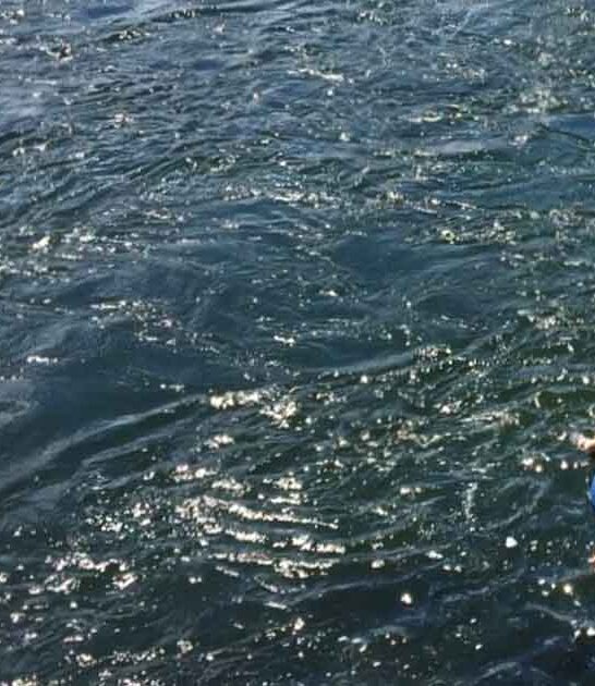 float trip south carolina ftr