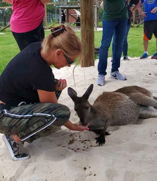 florida adorable animal ranch ftr