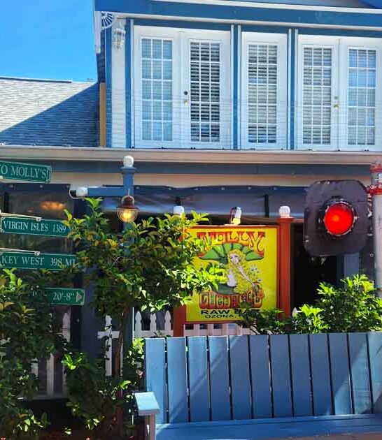 florida best seafood bar ftr