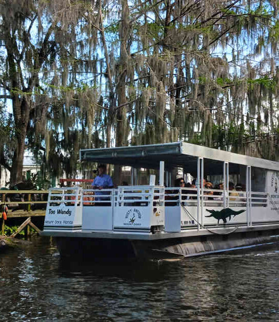 florida boat tour alligators ftr