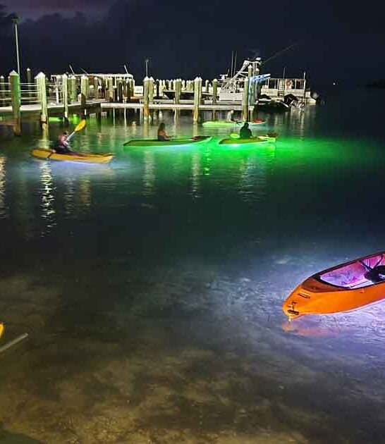 florida glow kayak tour ftr