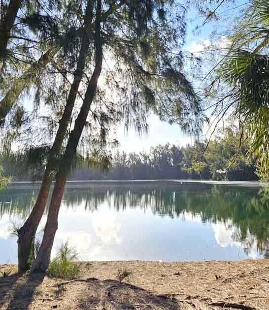 florida local underrated park ftr