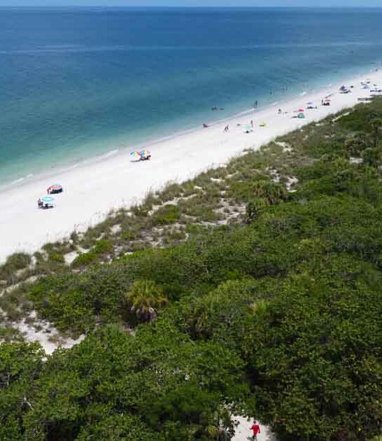 florida local underrated places ftr