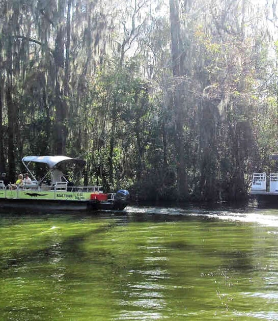 florida magical boat ride ftr