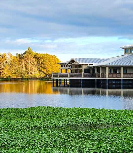 florida nature stunning preserve ftr