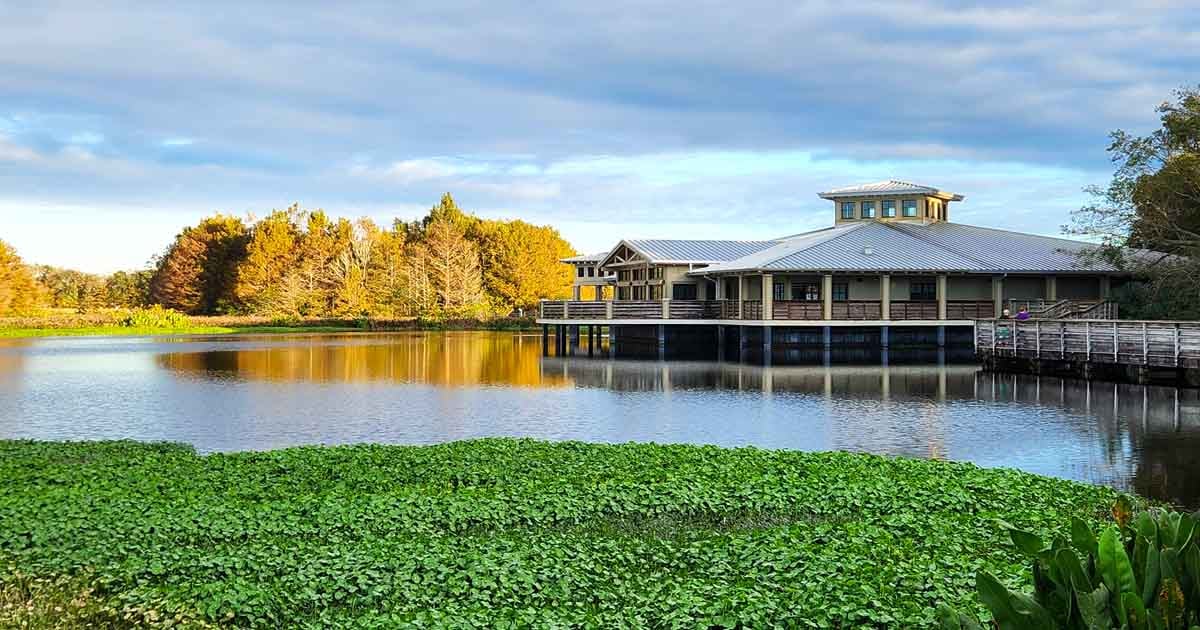 The Stunning Florida Nature Preserve That’ll Make You Feel A Million ...