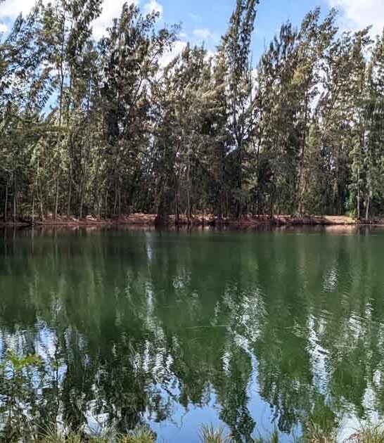 If You Haven&rsquo;t Visited This Small-Town Florida Park Yet, You&rsquo;re Seriously Missing Out