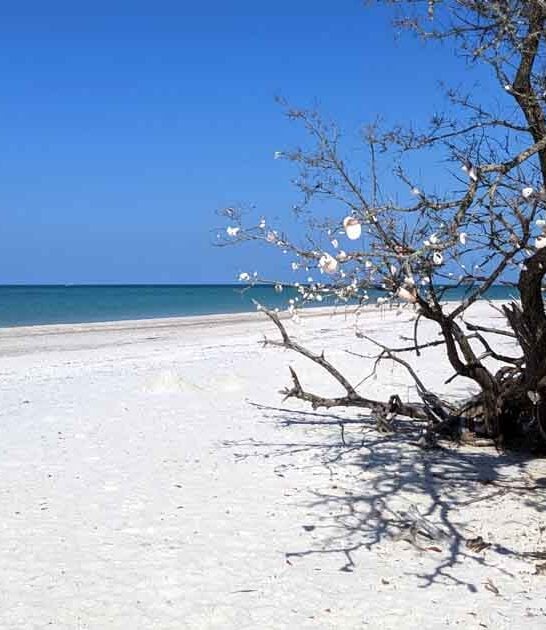 florida visit secluded spots ftr