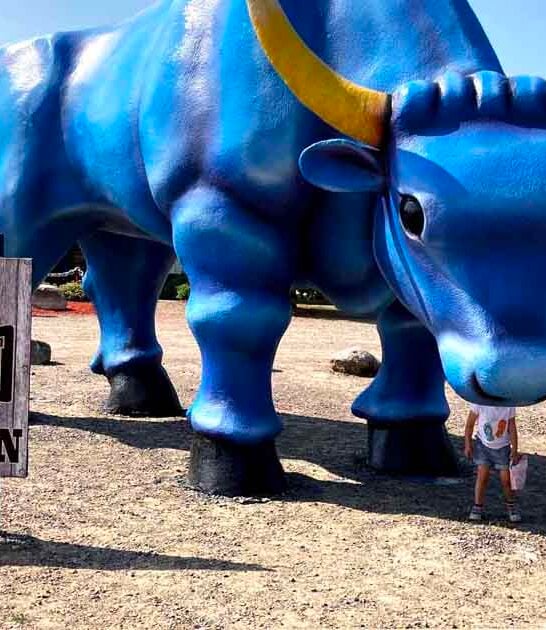 folk hero landmarks minnesota ftr