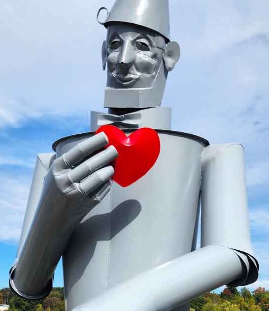 foot tin man michigan ftr