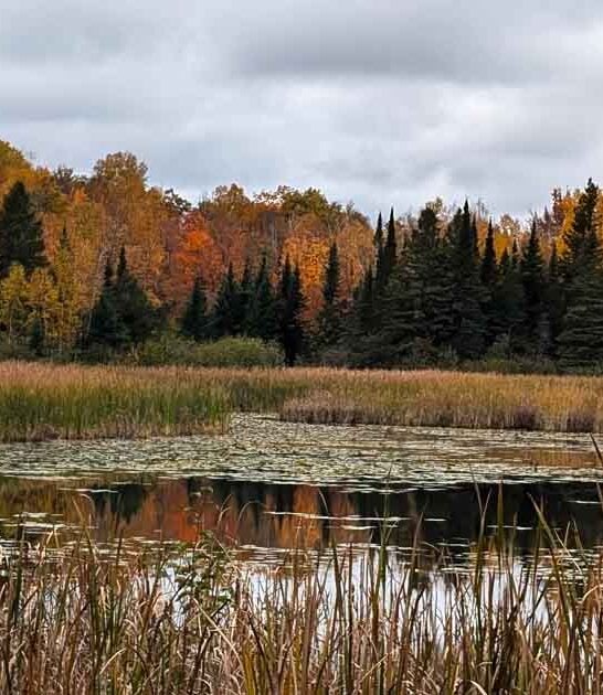 free museum minnesota park ftr