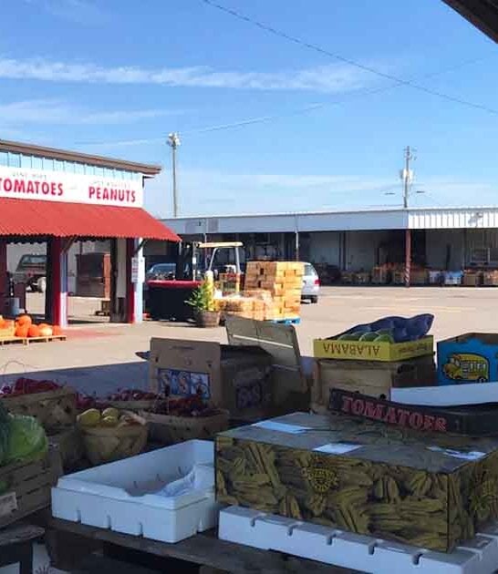 fresh farmers market alabama ftr