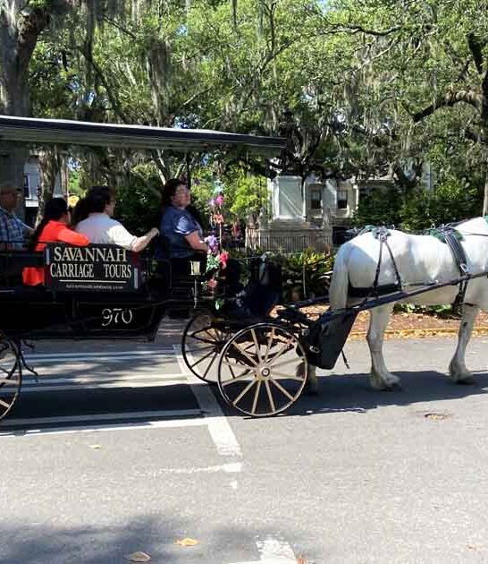 georgia experience horse carriage ftr