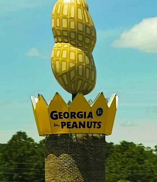 georgia giant peanut landmark ftr