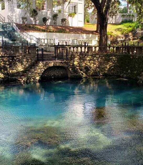 georgia hidden natural spring ftr
