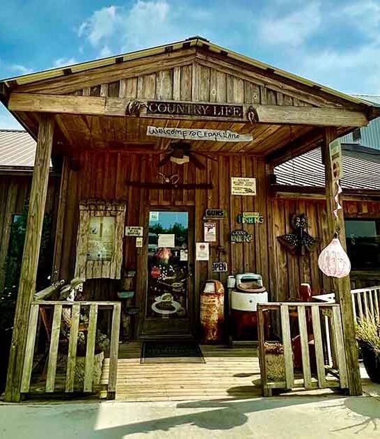 georgia hidden supper club ftr