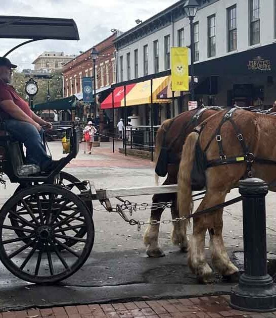 georgia horse carriage ride ftr