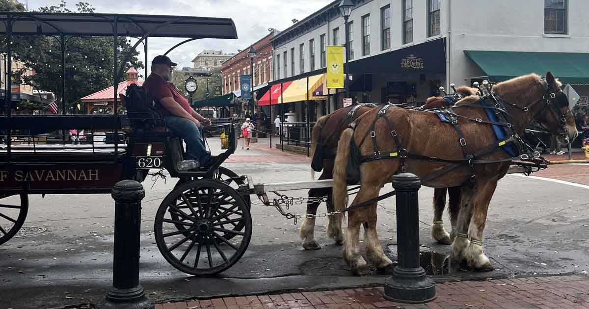 This Charming Horse-Drawn Carriage Ride Through A Historic Georgia City ...