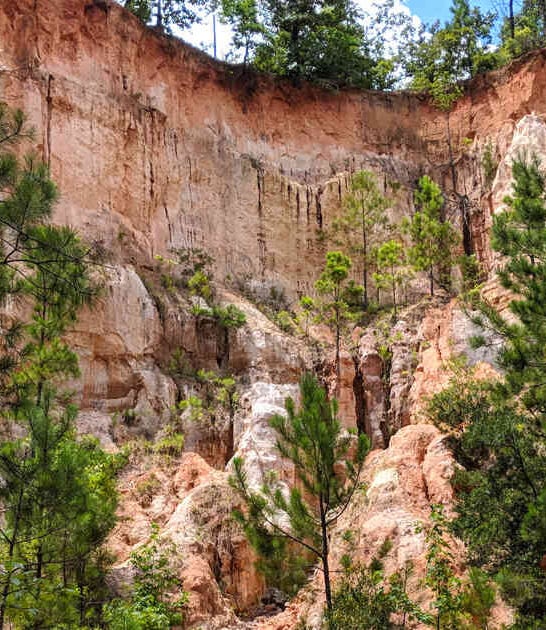 georgia little grand canyon ftr