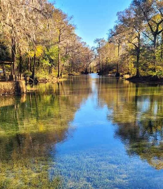 The Stunning Georgia Spring That Deserves A Spot On Your Bucket List