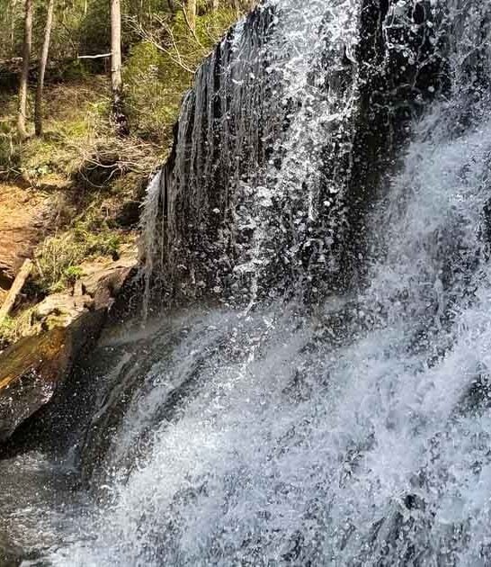 georgia waterfall beach trail ftr
