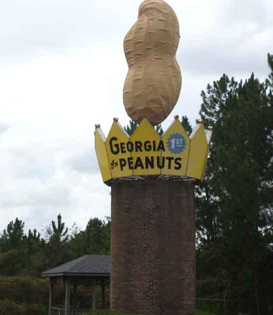 georgia weird peanut attraction ftr