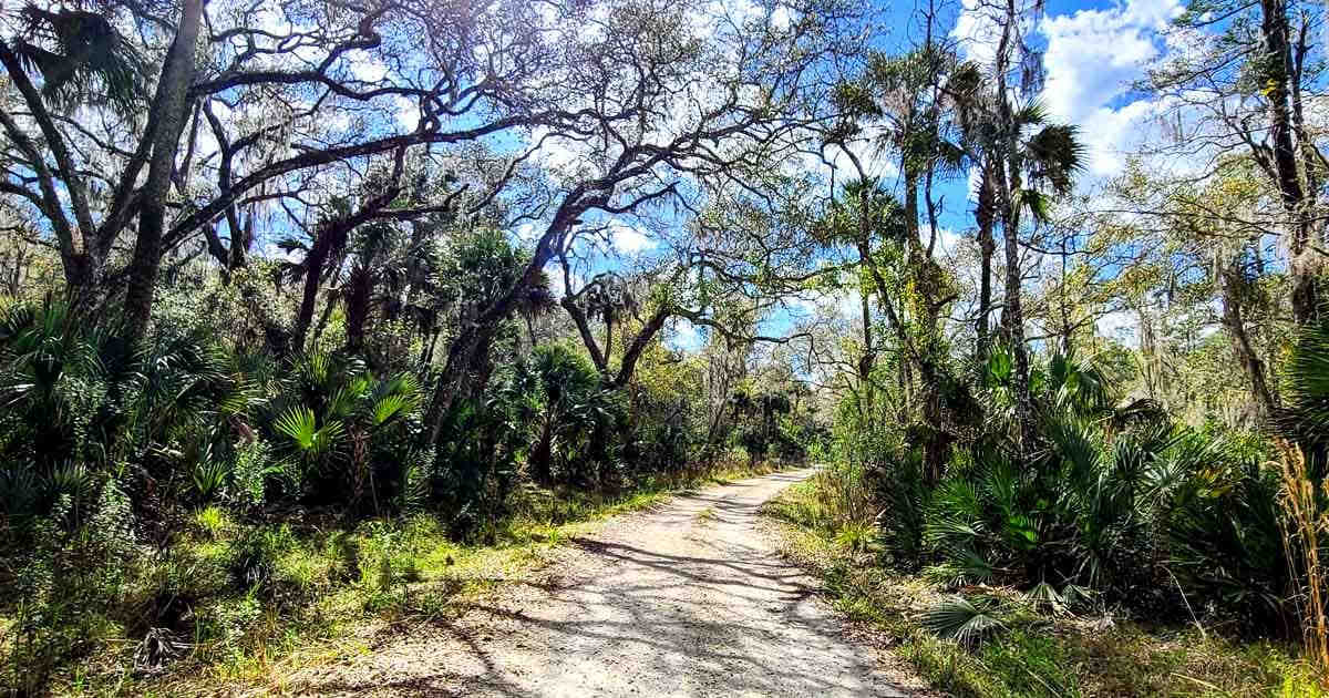 Hike This 8-Mile Florida Trail And You'll End Up In A Mysterious Ghost Town