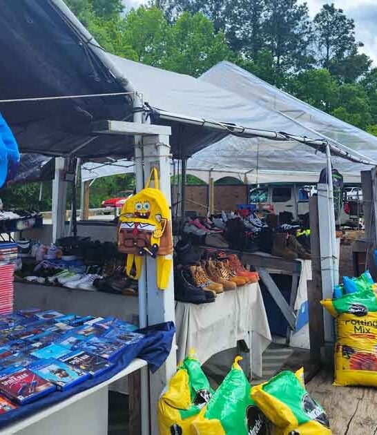 giant market south carolina ftr